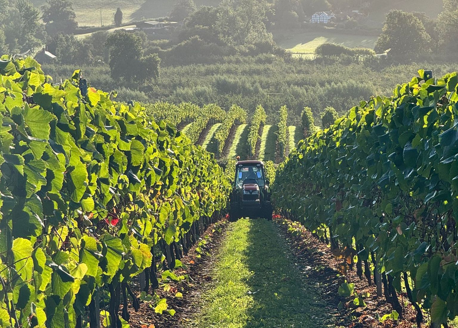 Behind the Scenes for the 2025 Harvest – Radlow Hundred